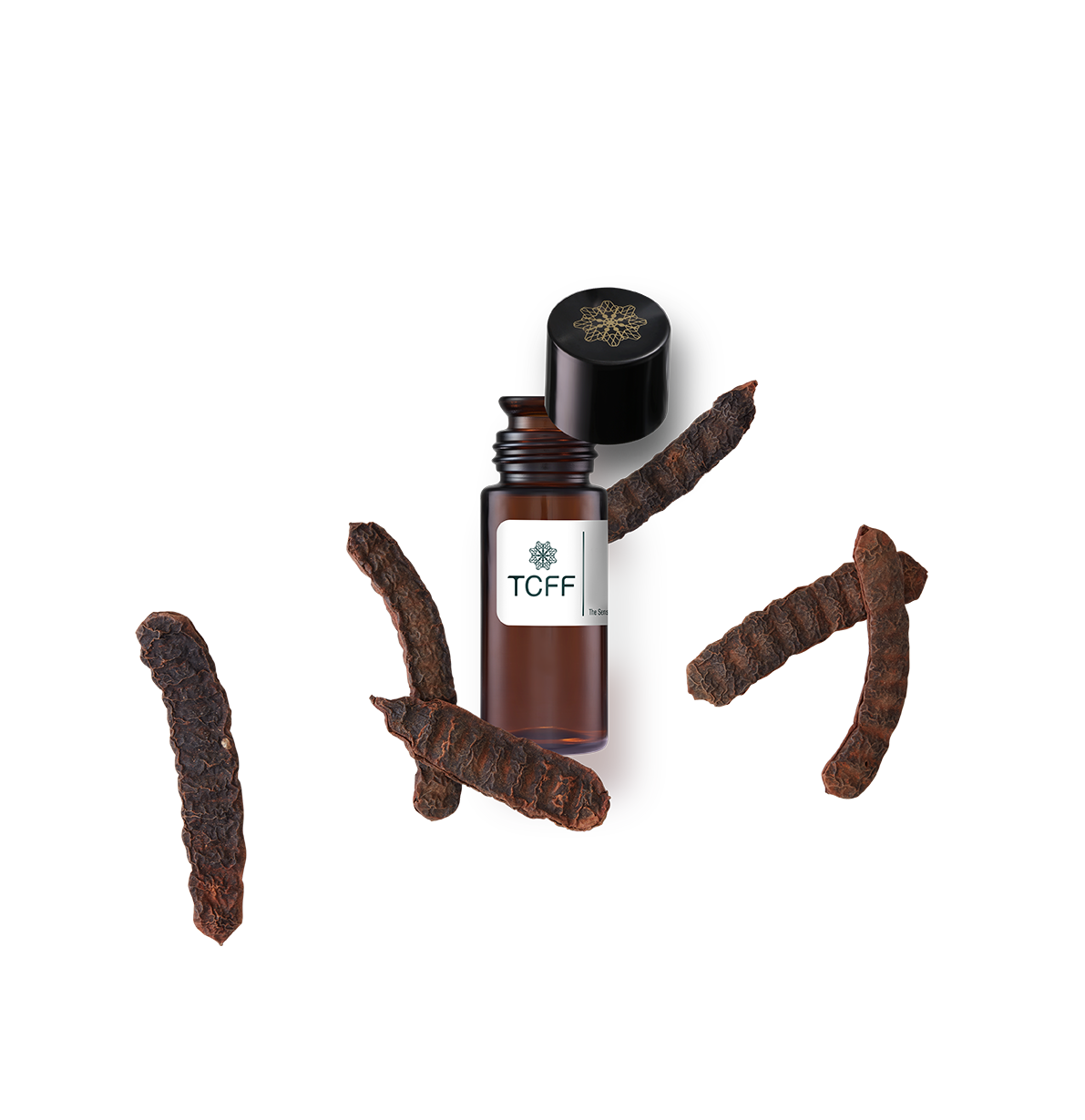 SOM POI EXTRACT - Tcff Thailand